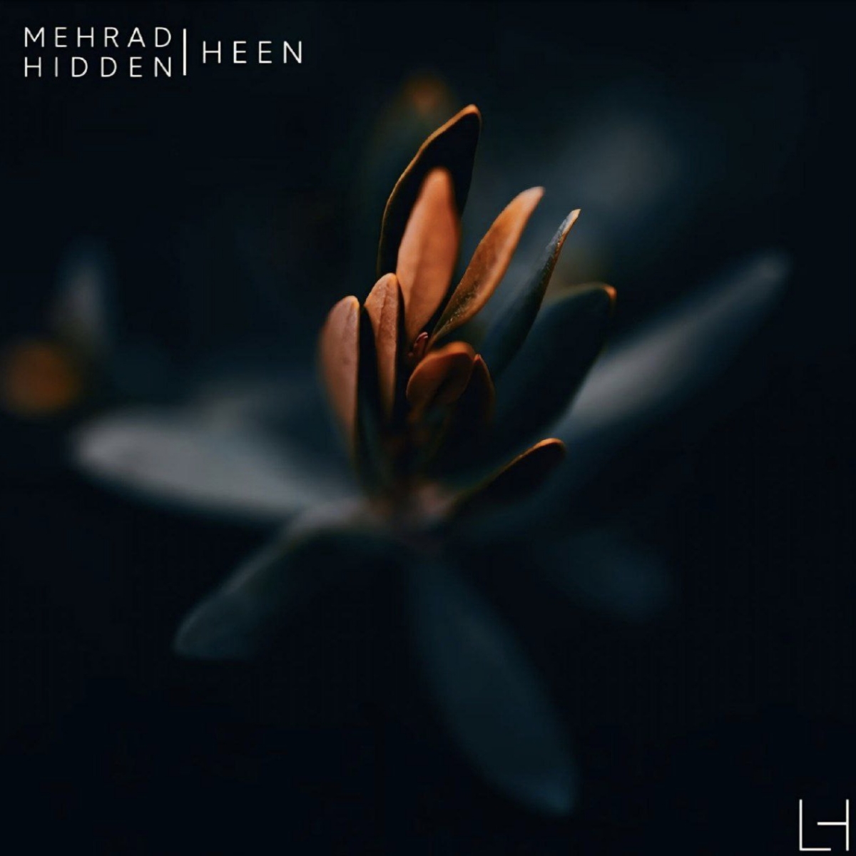 دانلود آلبوم مهراد هیدن الاویس ۲